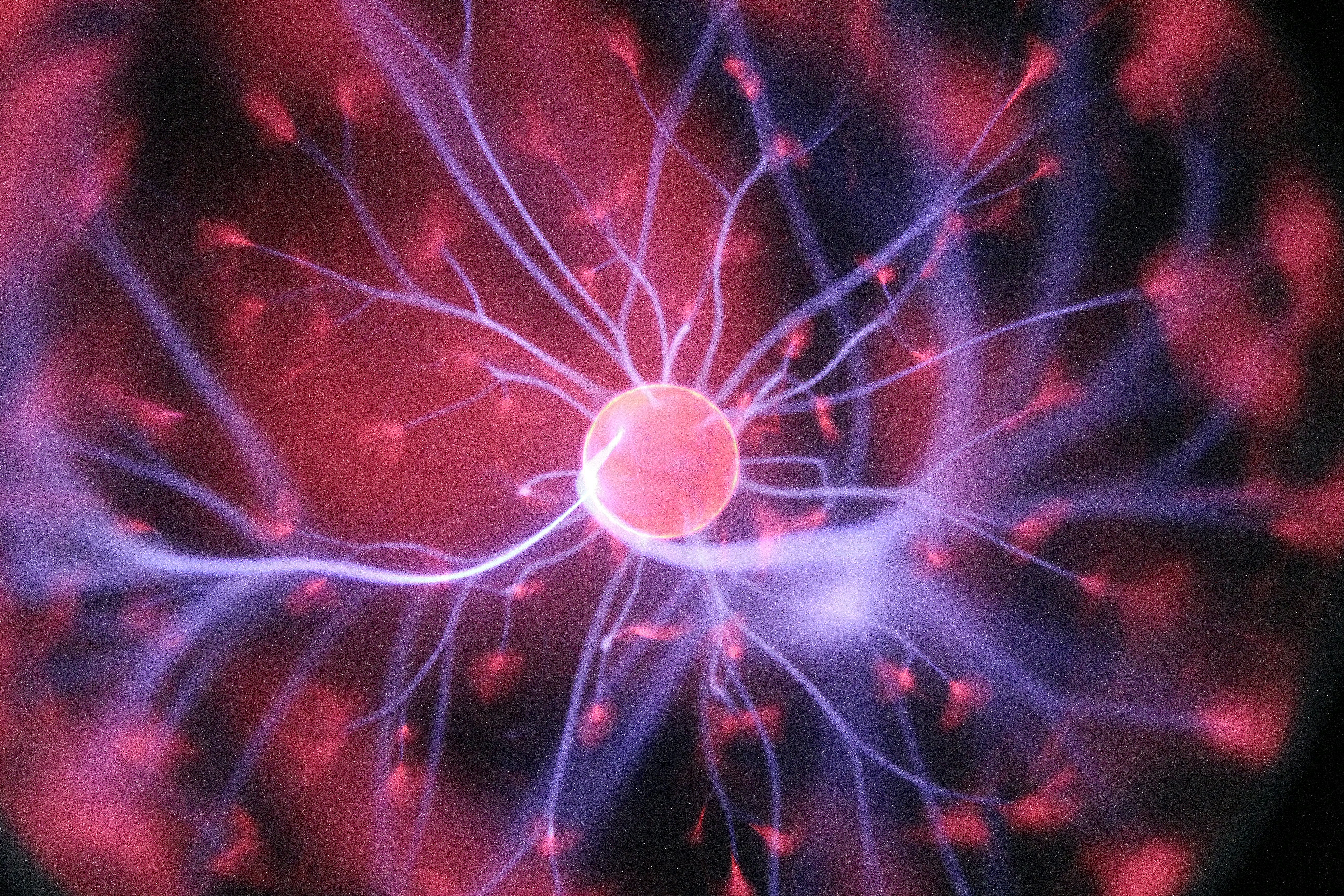 Life NeuroScan Test – G-Life